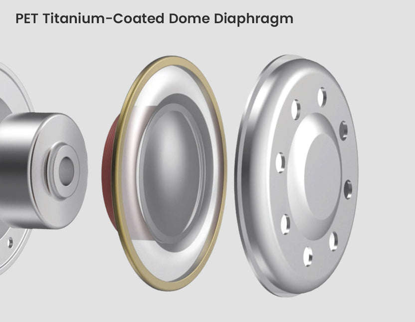 TANCHJIM- BUNNY Dual Chamber Dynamic Driver IEM | Concept Kart