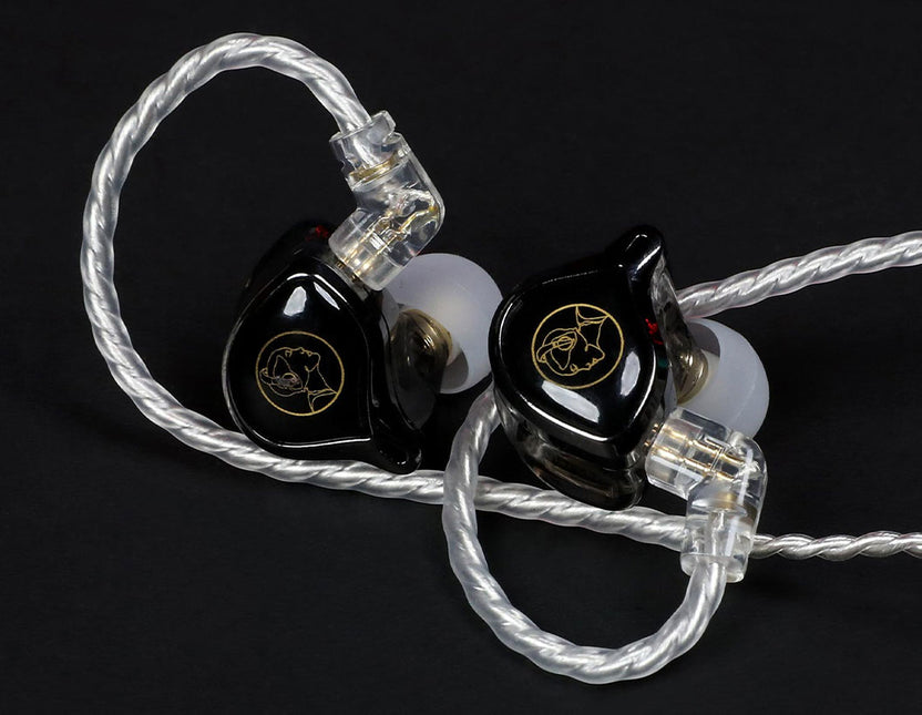 AUDIOCULAR LEX IEM + AUDIOCULAR D07 Slim DAC & Amp | Concept Kart
