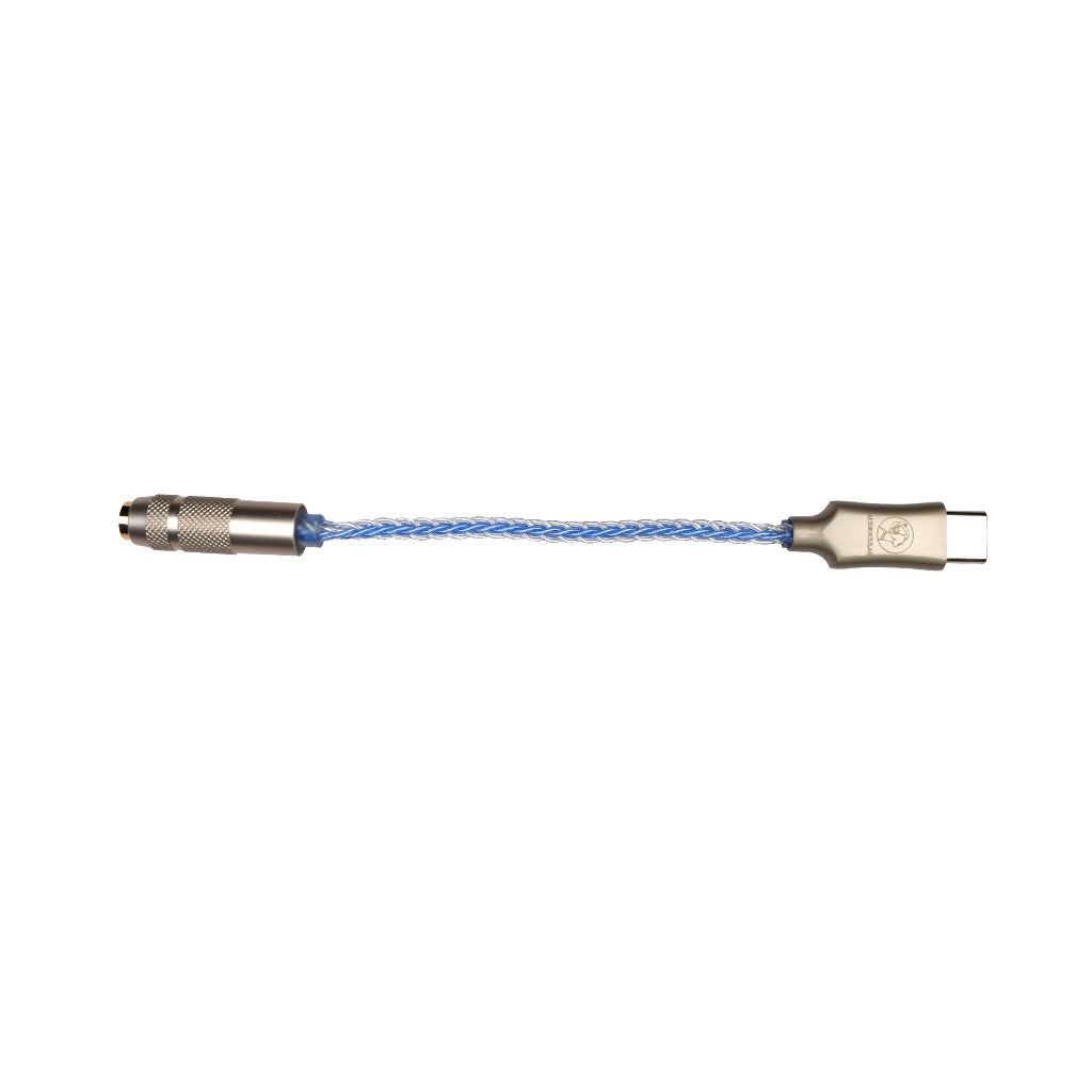 AUDIOCULAR Conexant CX Pro CX31993 USB-C DAC & Amp | Concept Kart