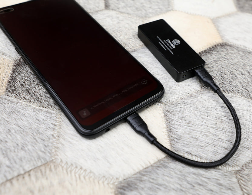 F.Audio DS02 Dual ES9038Q2M + ES9603Q Portable DAC/Amp | Concept Kart