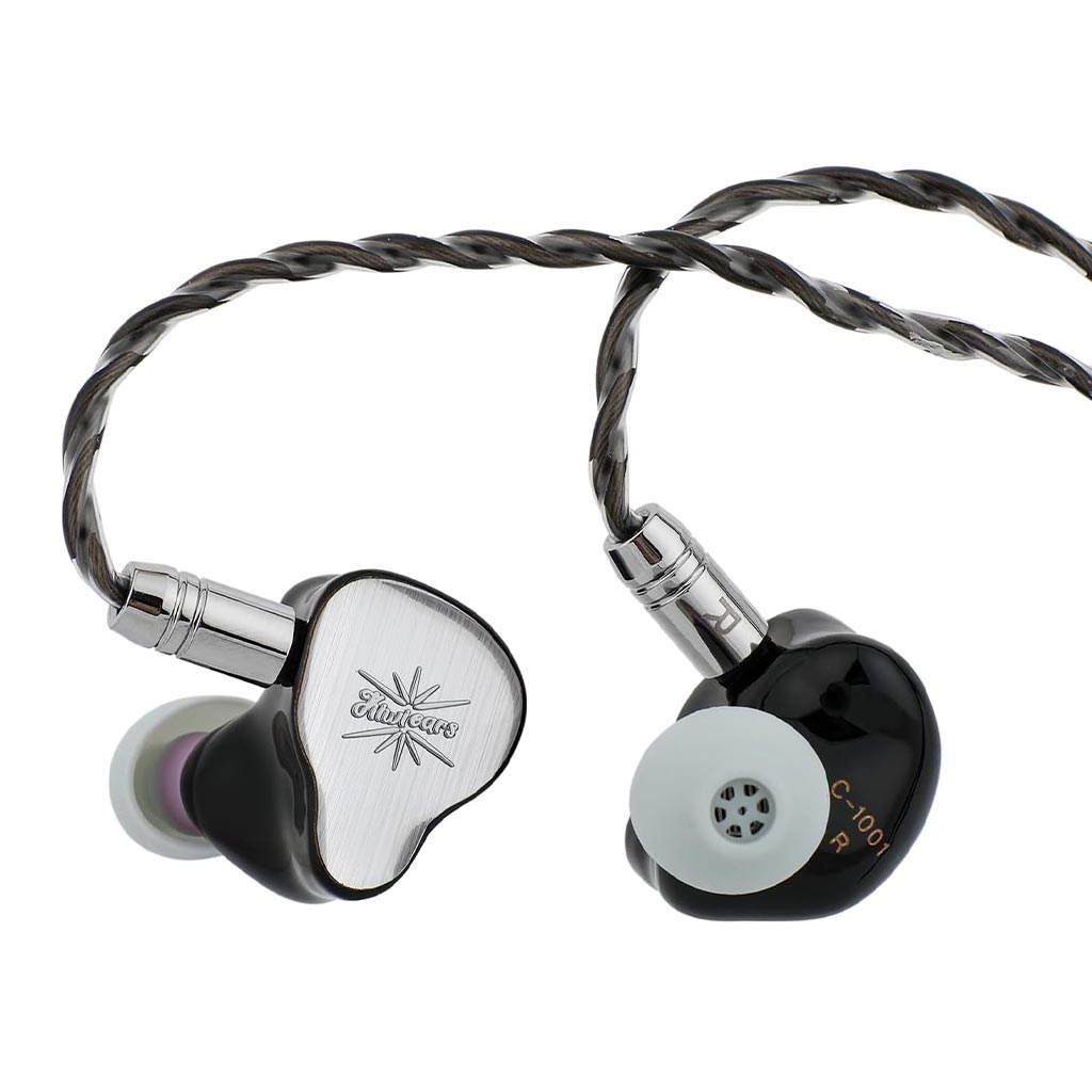 Kiwi Ear KE4 2 DD + 2 BA Hybrid Driver IEM (In Ear monitors) | Concept Kart